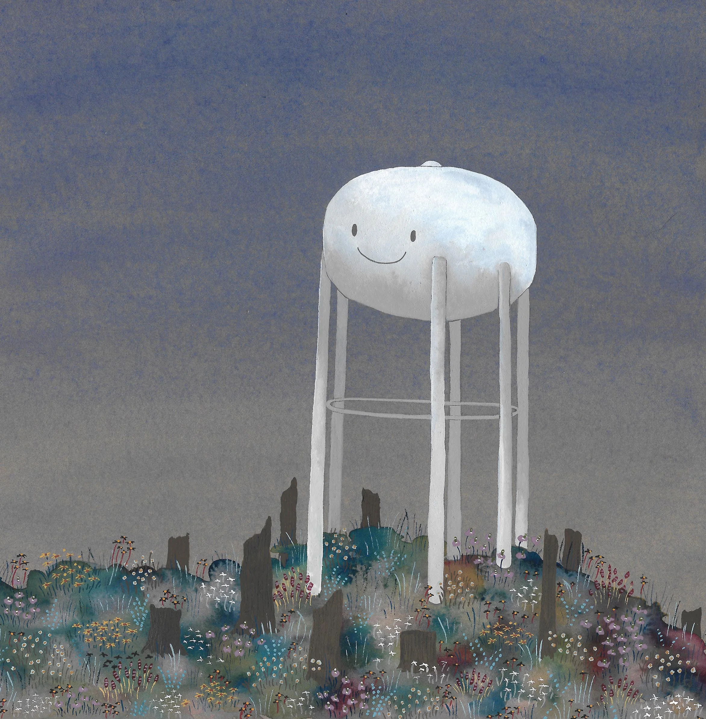 Pocket Prints — golden hour prints