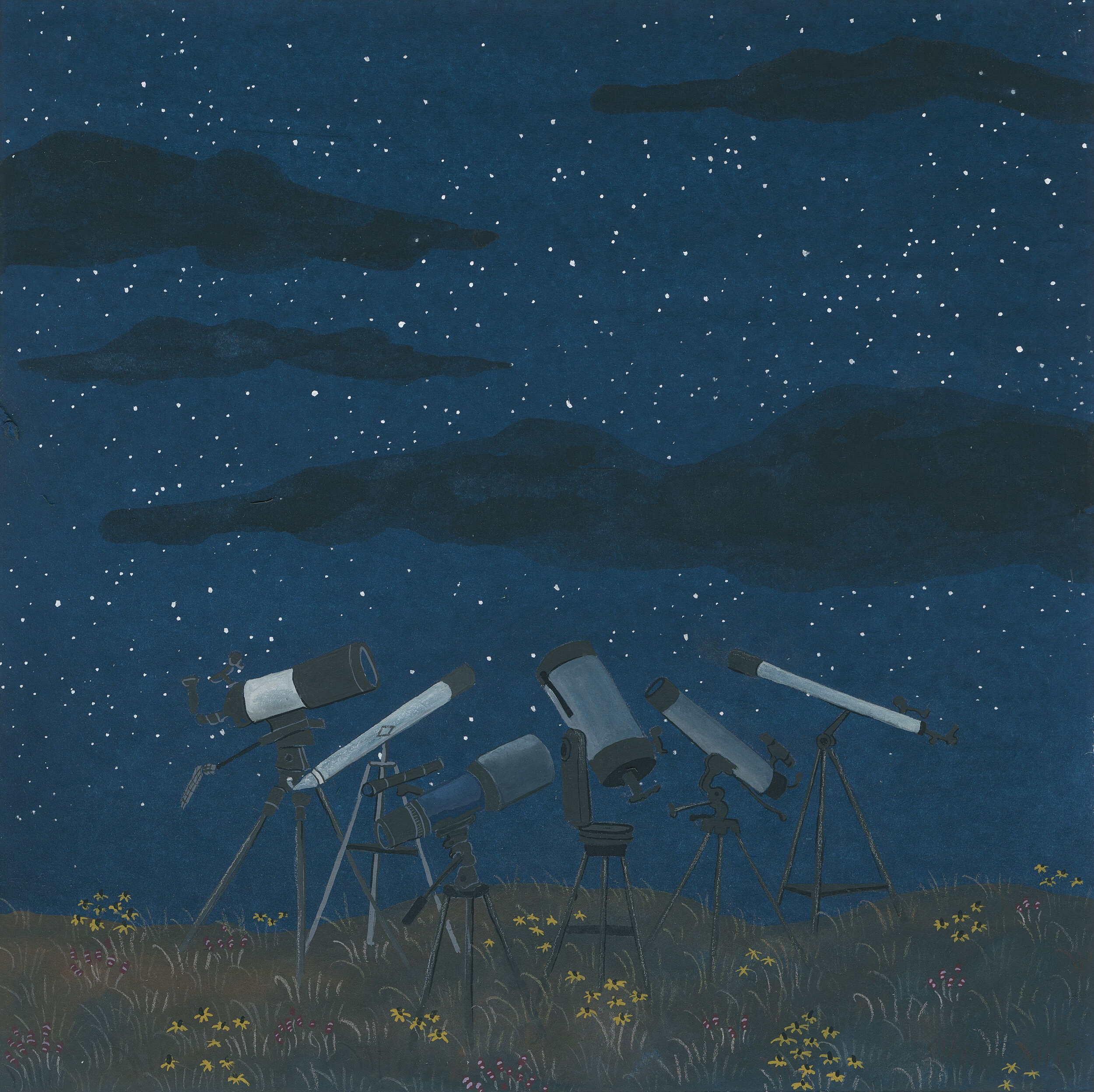 Pocket Prints — golden hour prints