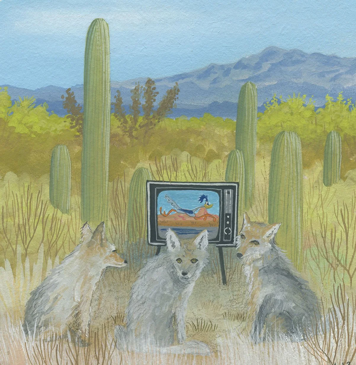 Pocket Prints — golden hour prints