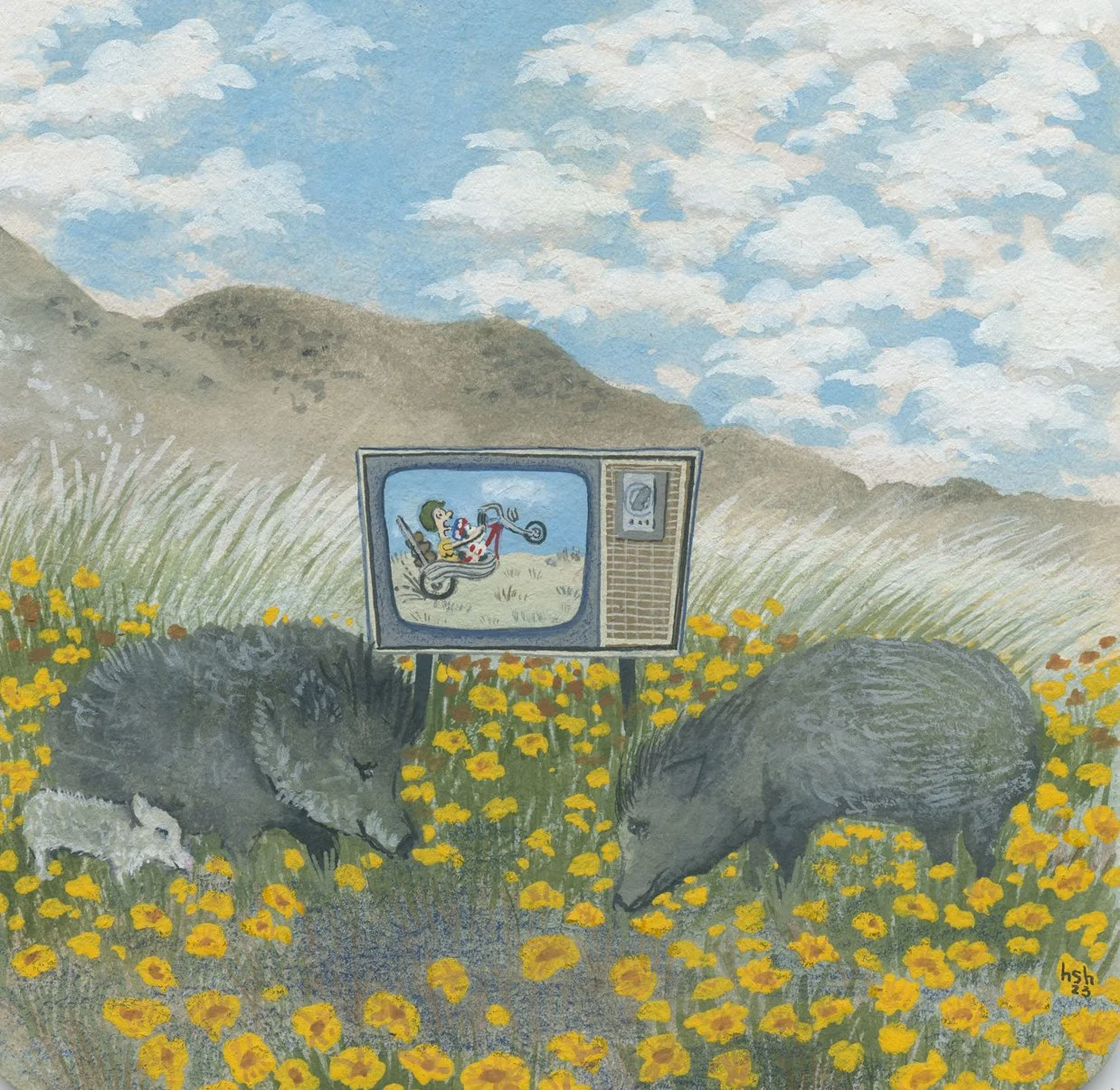 Pocket Prints — golden hour prints