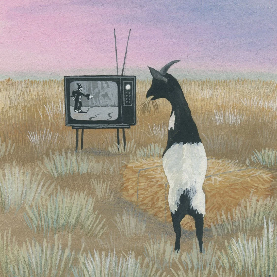 Pocket Prints — golden hour prints