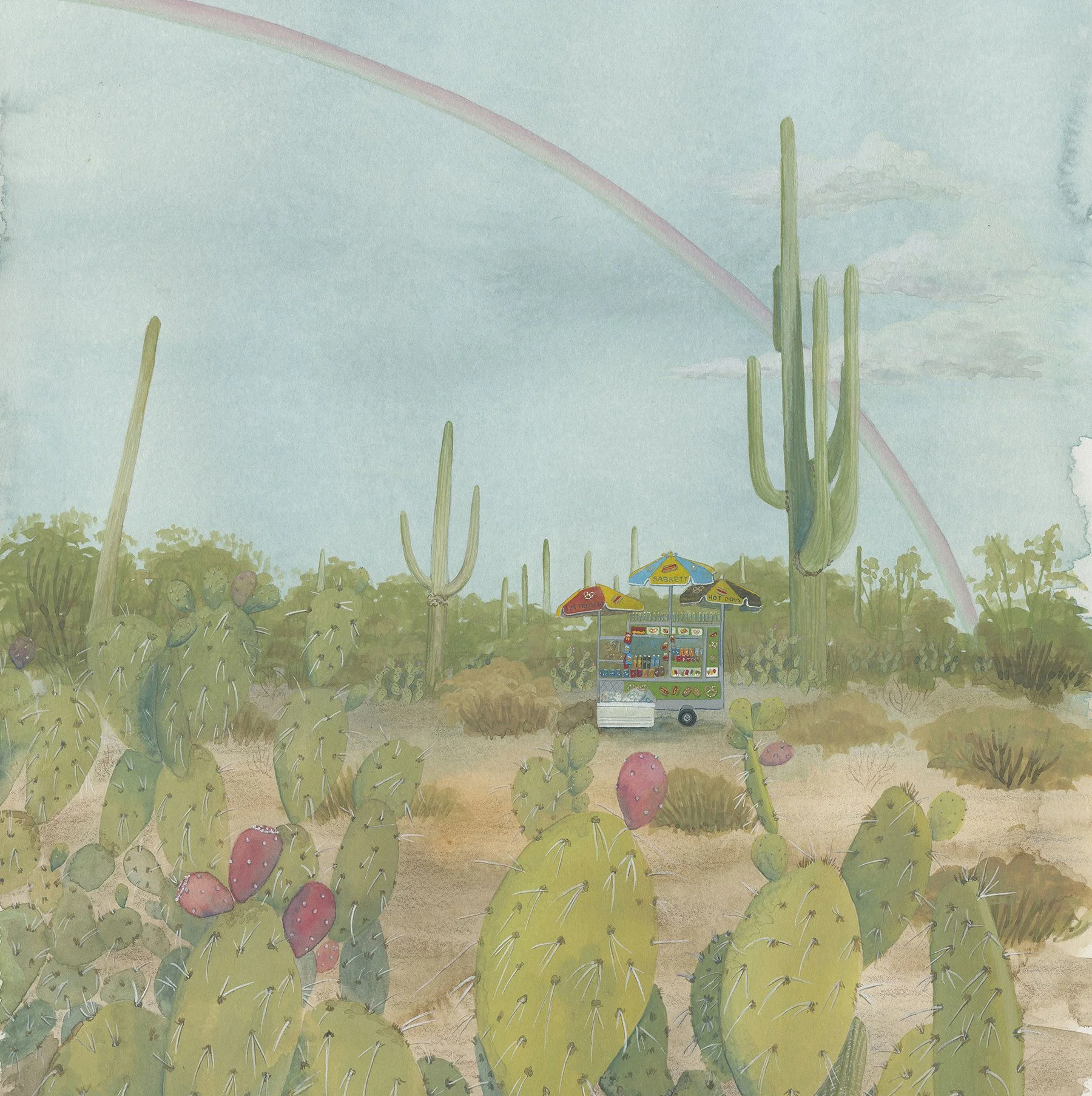 Pocket Prints — golden hour prints