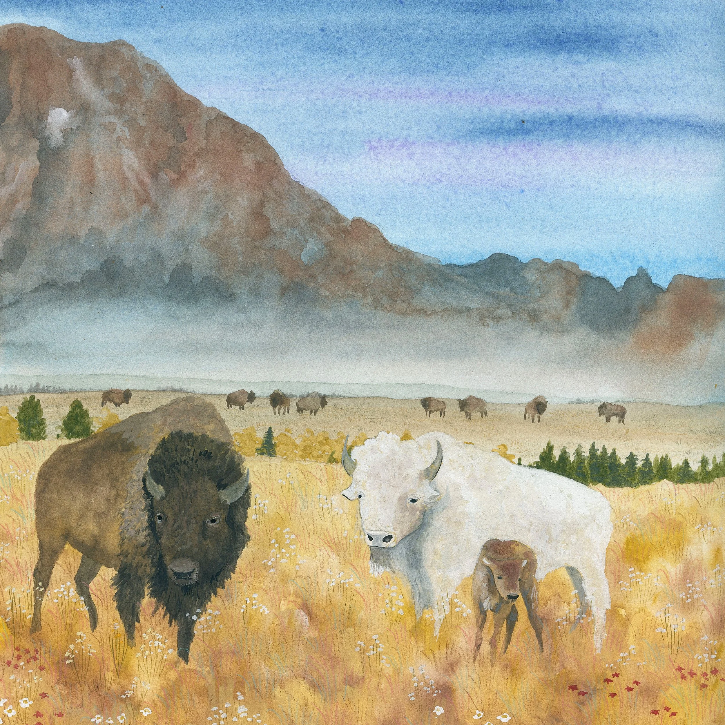 Pocket Prints — golden hour prints