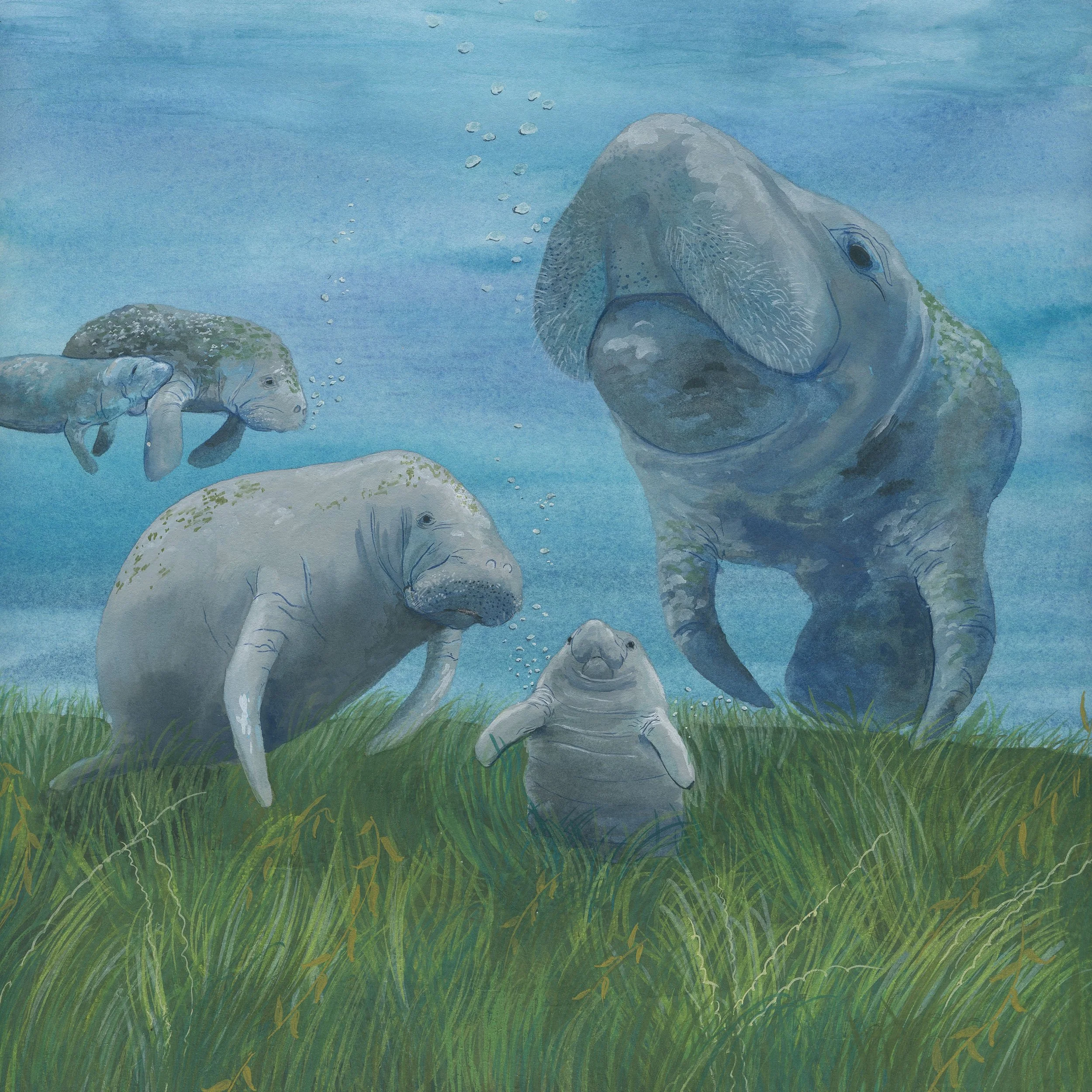 Pocket Prints — golden hour prints