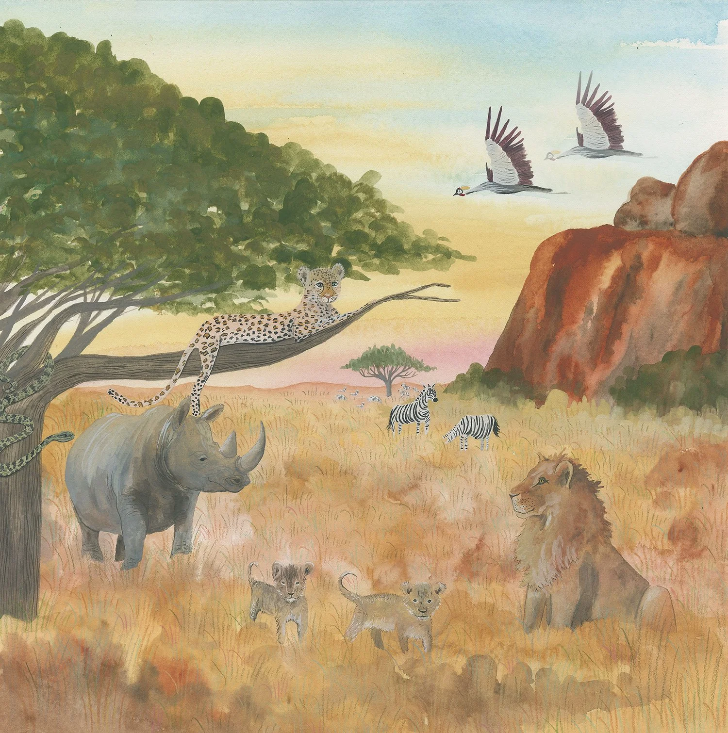 Pocket Prints — golden hour prints