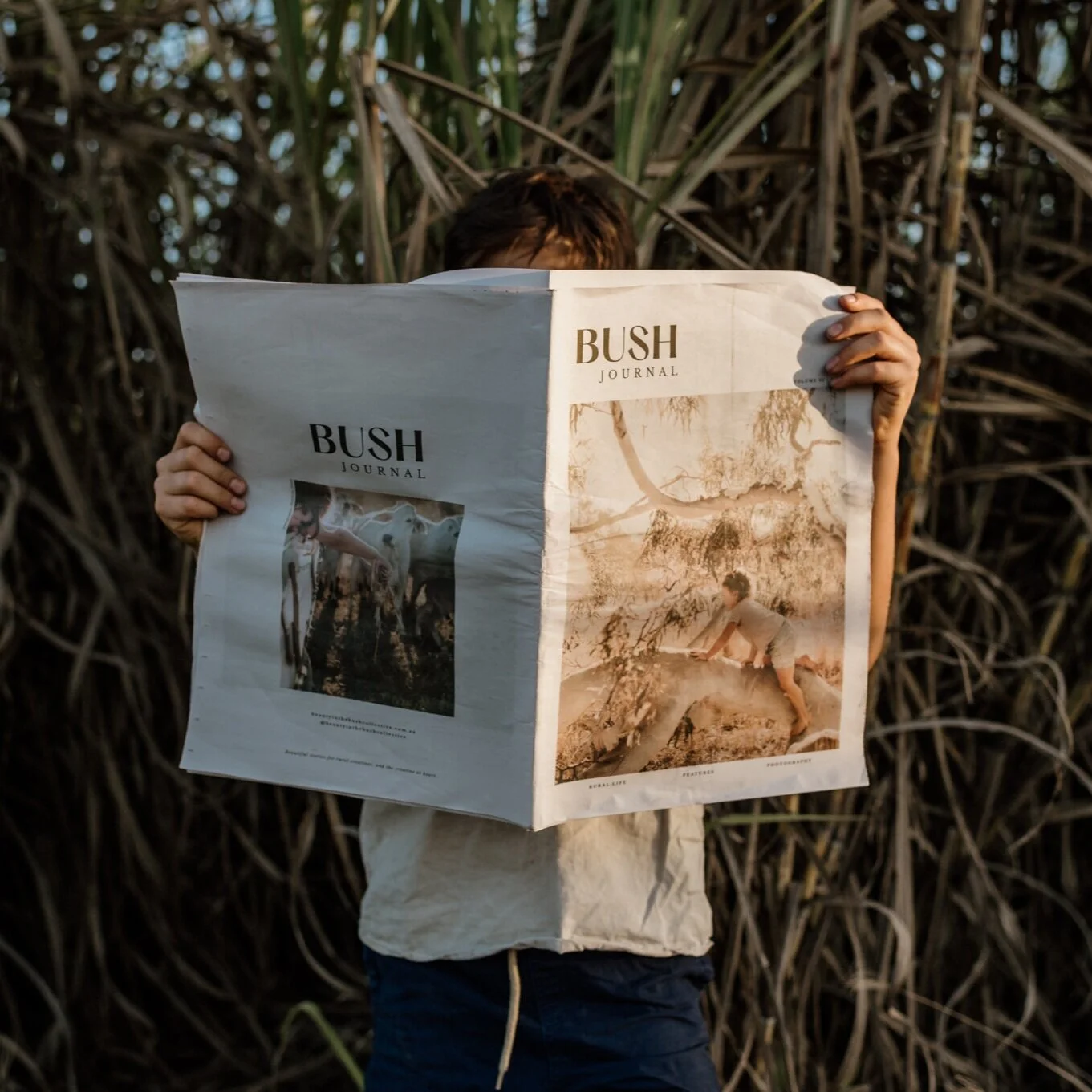 Bush Journal — RURAL ROOM