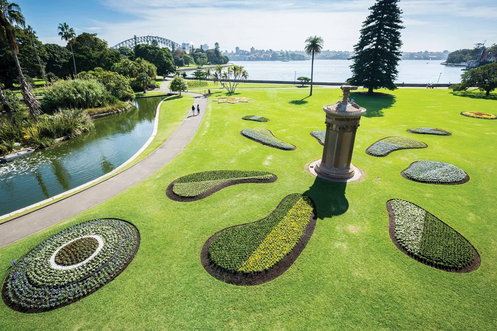 About — Sydney Culture Network