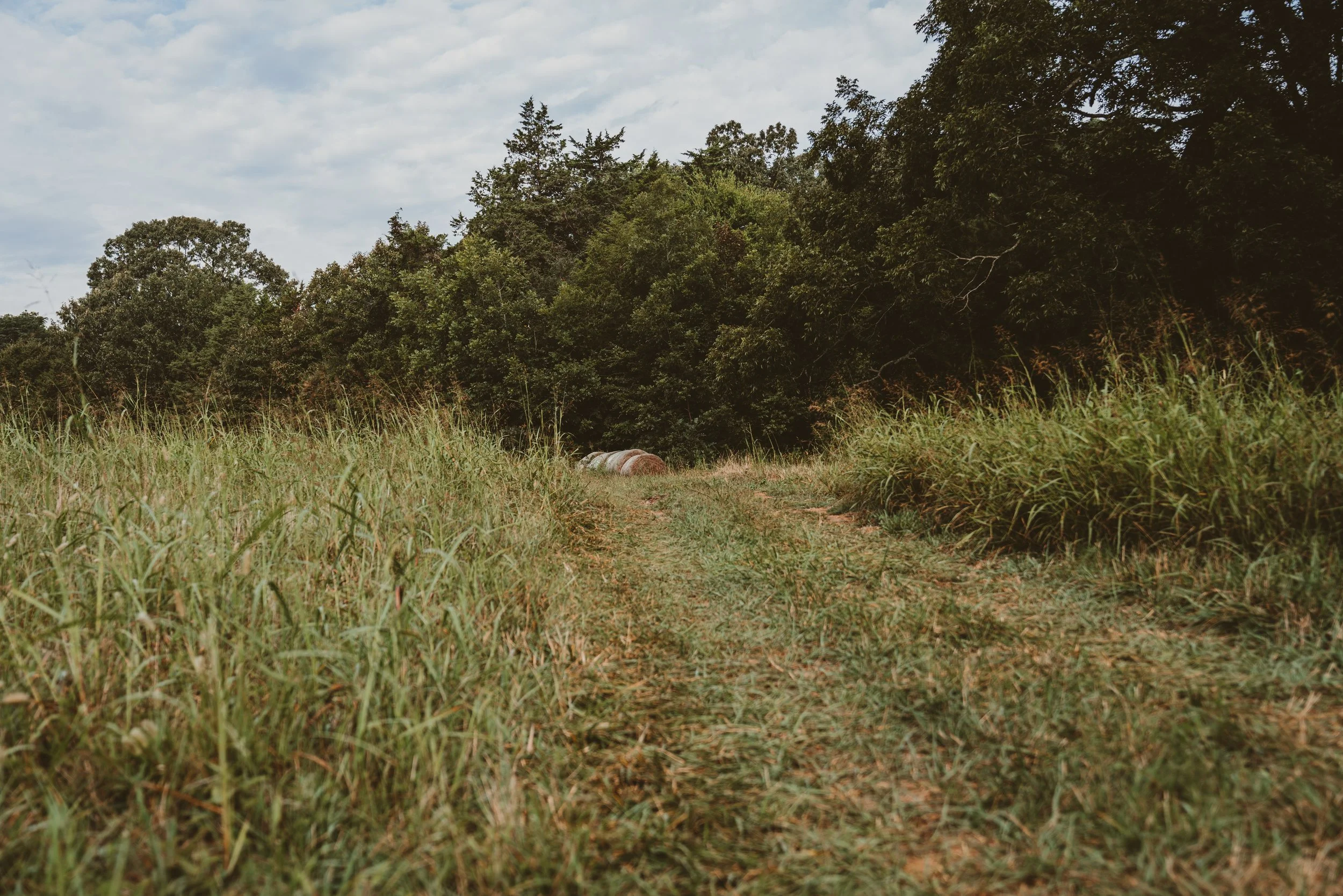 Trail Riding, Lake Russell, Abbeville, SC — Eremos Farm