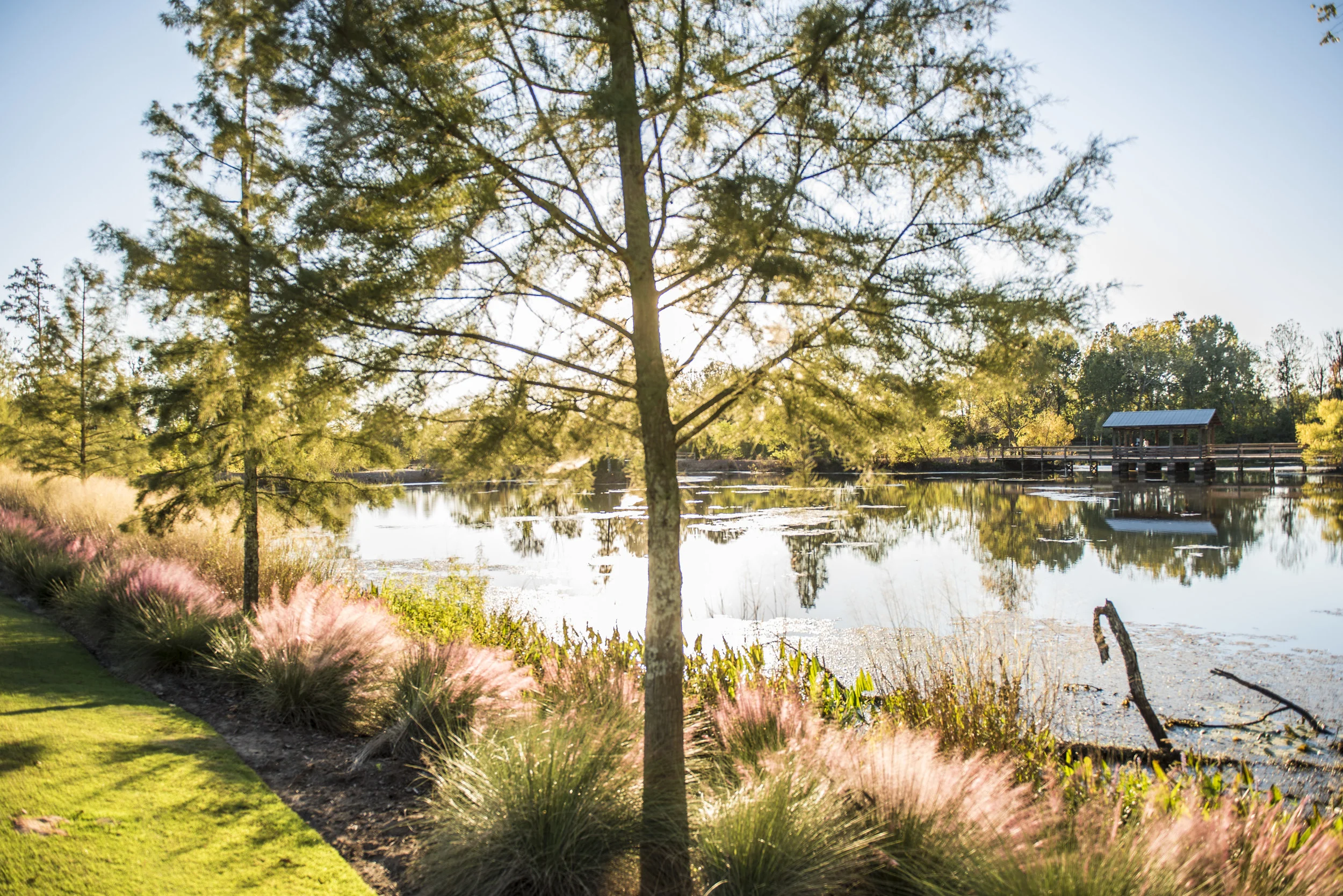 Riverfront Life — Riverside Village