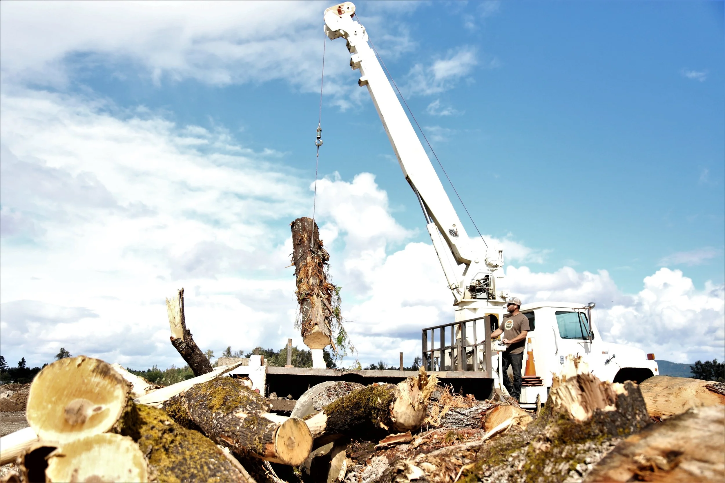 The Environmental Impact of Fast Furniture — Urban Lumber Co.