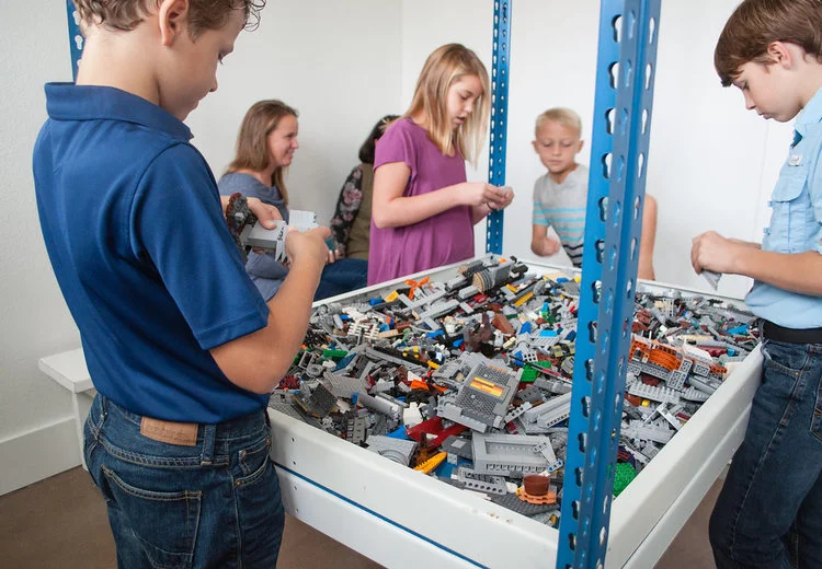 Fort Worth Kids Entertainment | LEGO Collector Store | About Rogue Brick