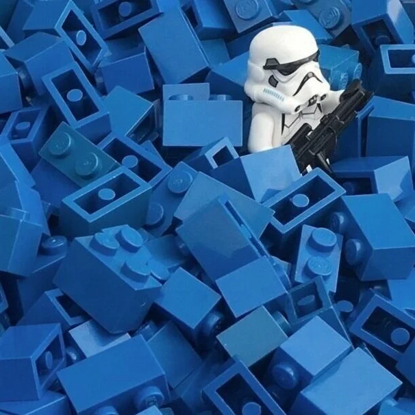 Kids Entertainment | LEGO Collectibles | Builder Lounge | Rouge Brick