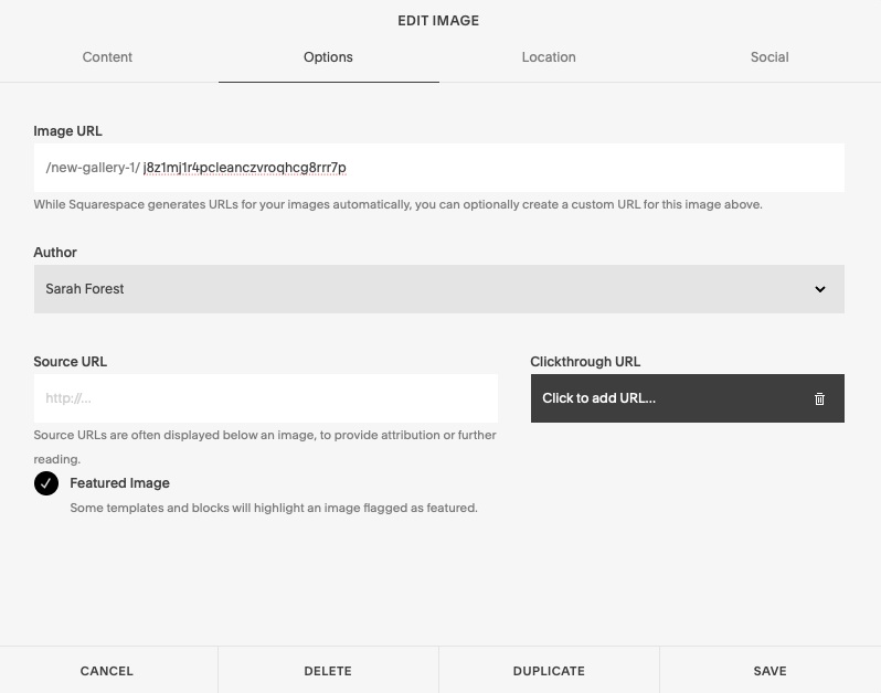 Creating a Responsive Filterable Gallery in Squarespace — Ponder Trail Creating a Responsive Filterable Gallery in Squarespace — Ponder Trail