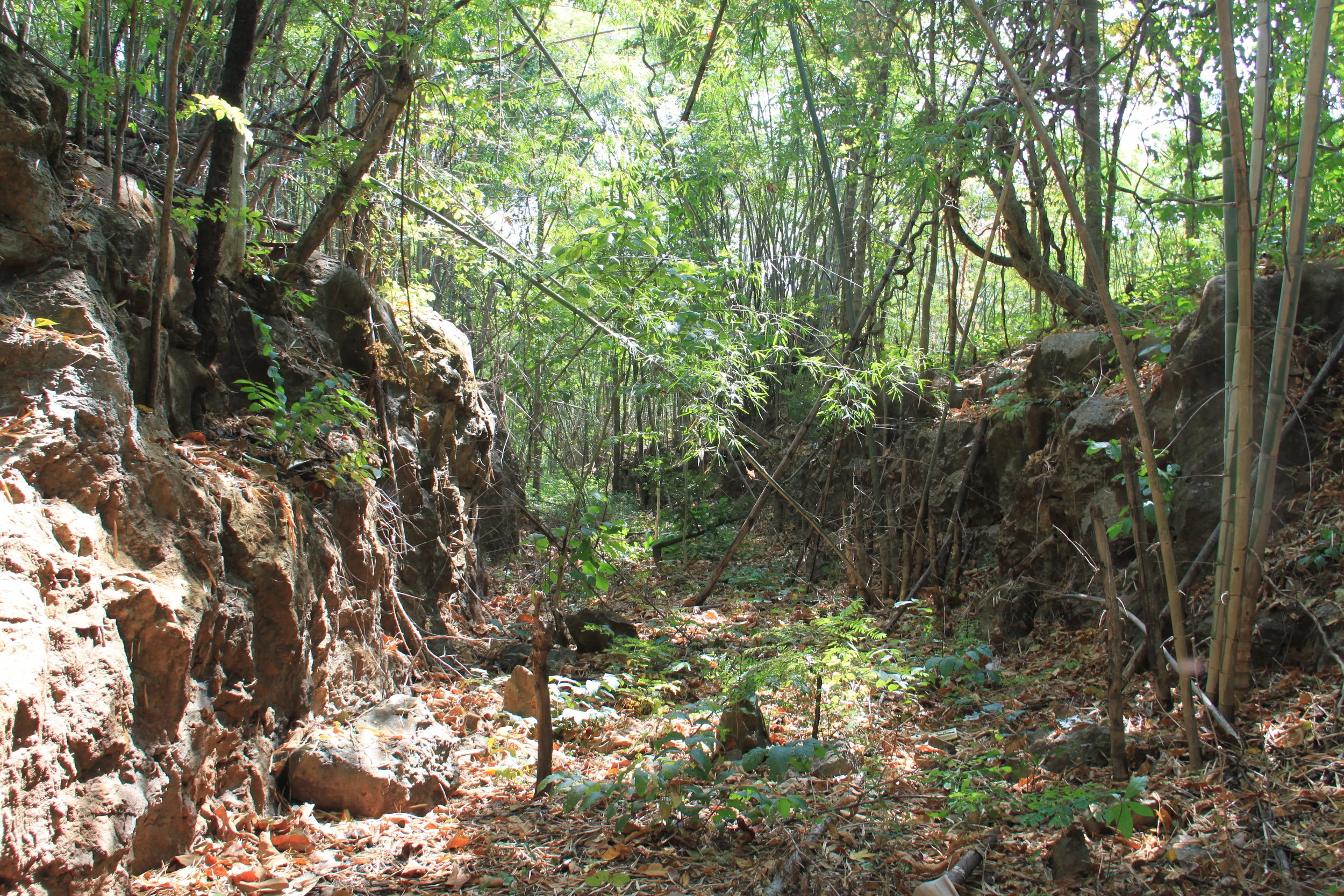 The railway after the war — Historic War Tours