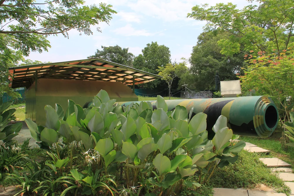 Singapore's 15" Guns — Historic War Tours