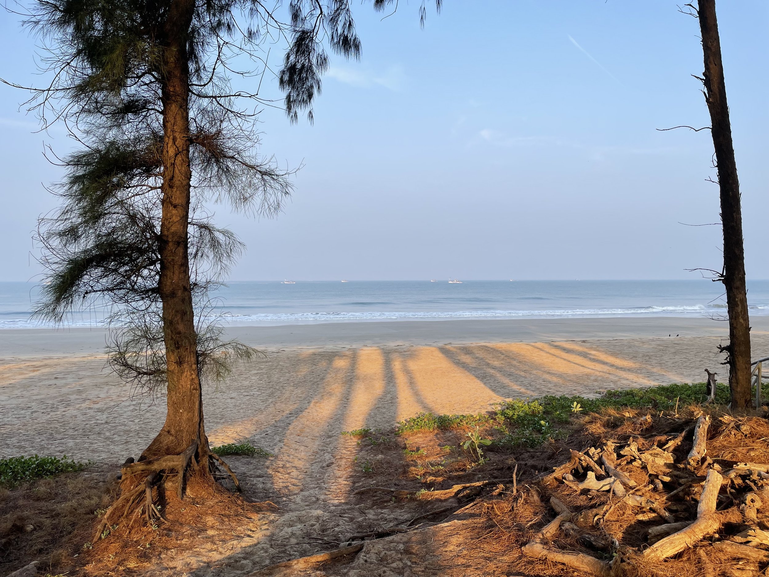 Mirage-Goa on the beach — The Mirage