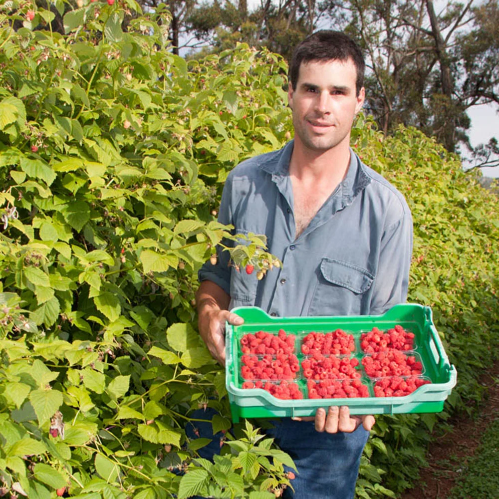 About — Wandin Yallock Farms