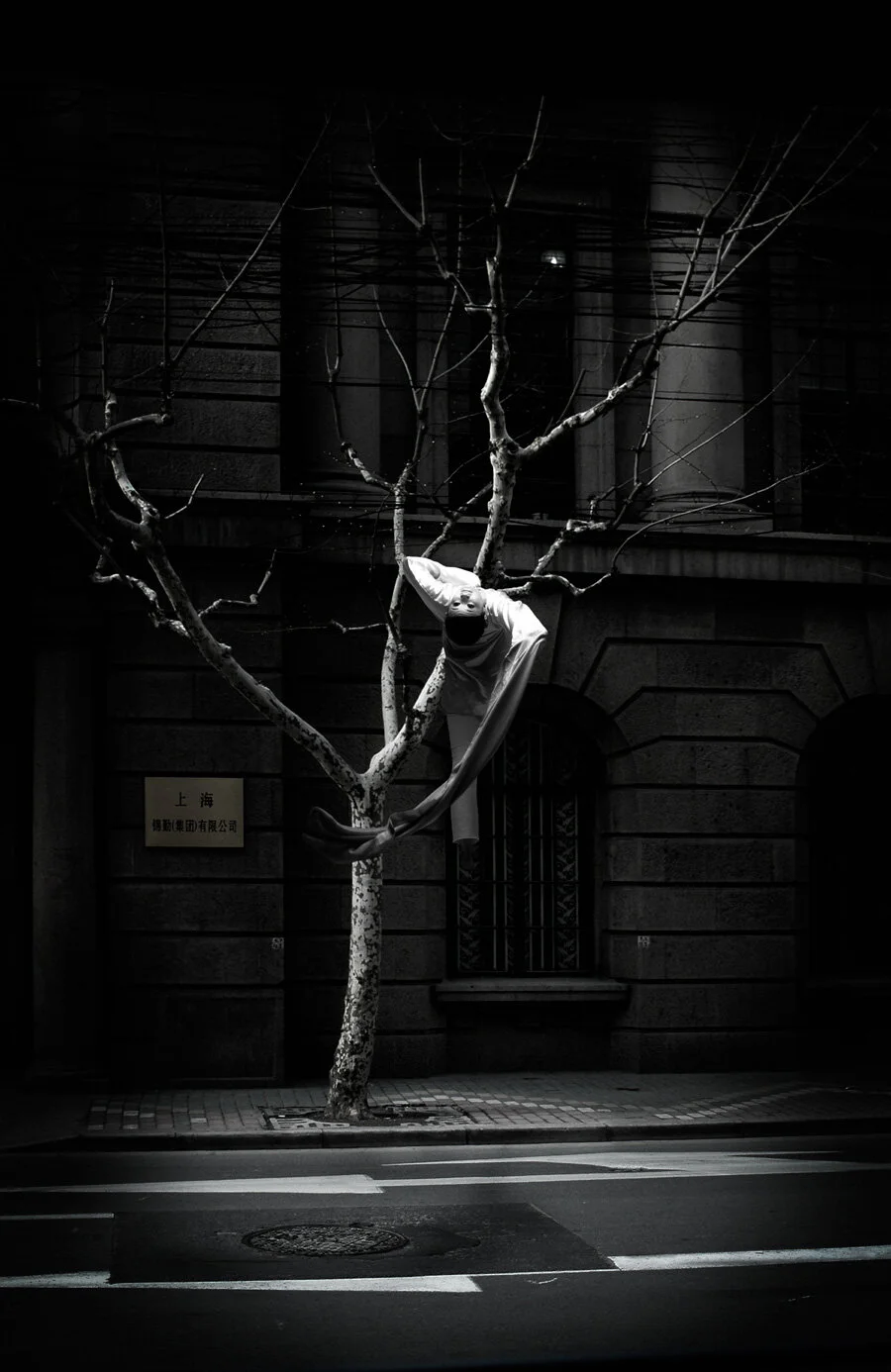 Opus II - photography — Daan Noppen