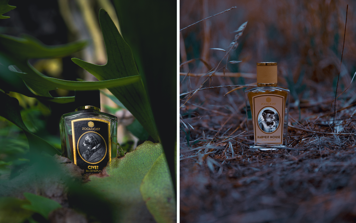 Olle Eriksson: — blog