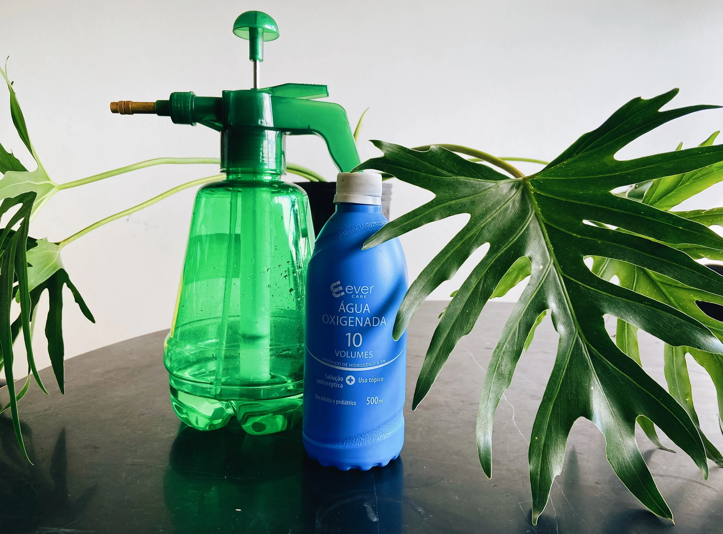 The wonders of hydrogen peroxide (Olle Eriksson)