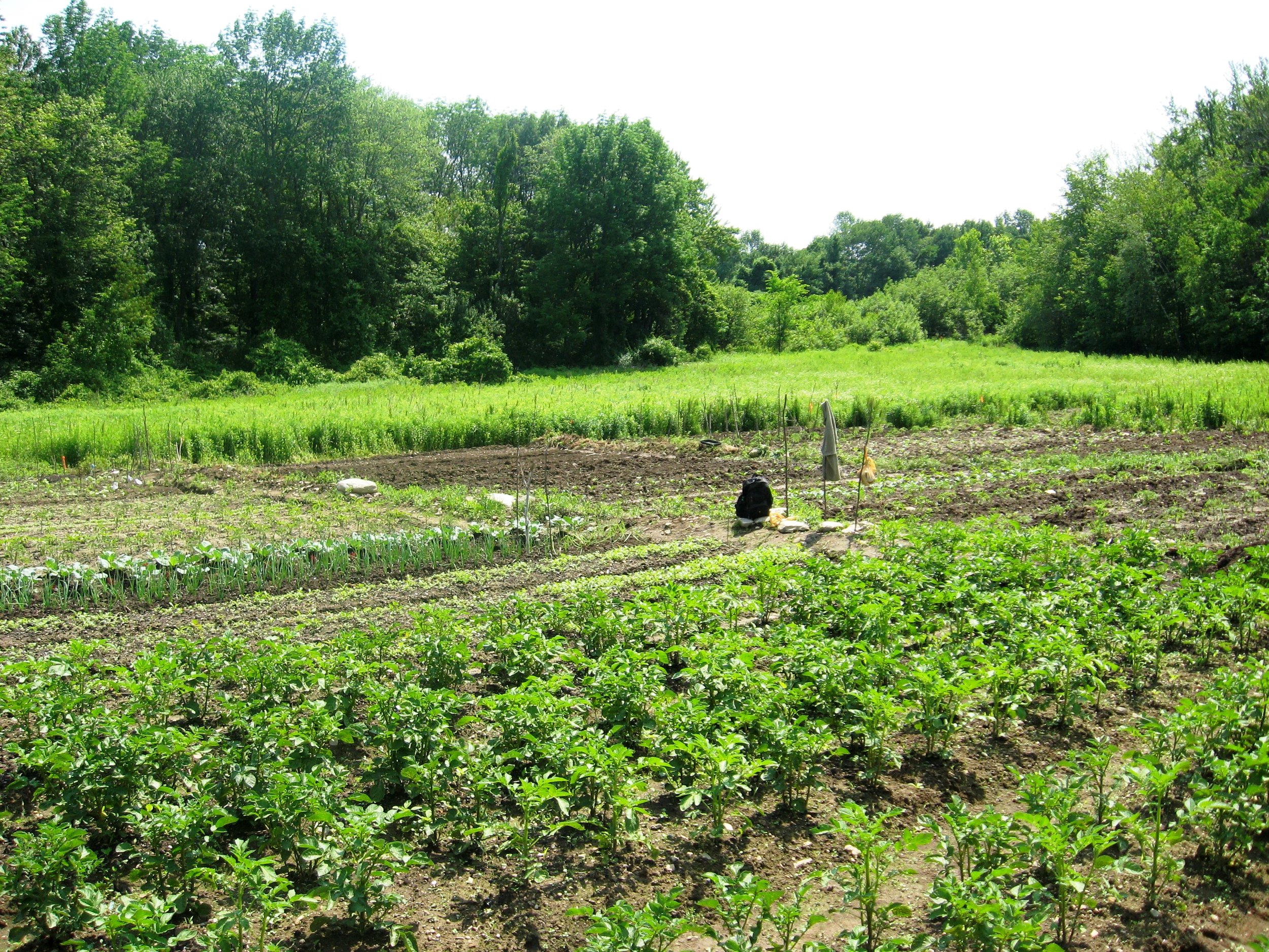 For Service Providers — All Farmers