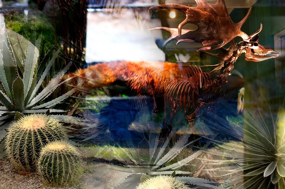 Sayers-Su23 — DMQ Review