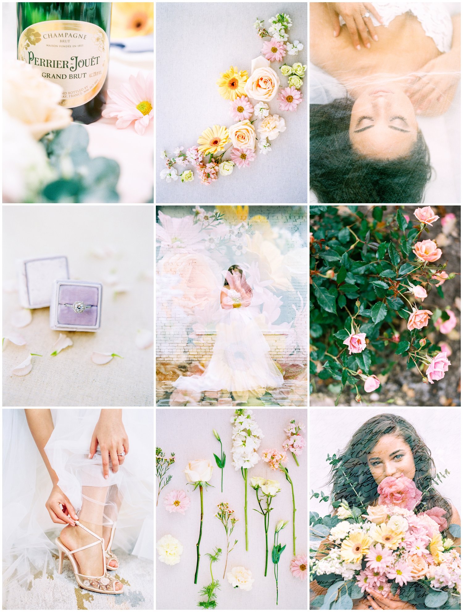 The Best of 2018 — Lisa Silva Photography
