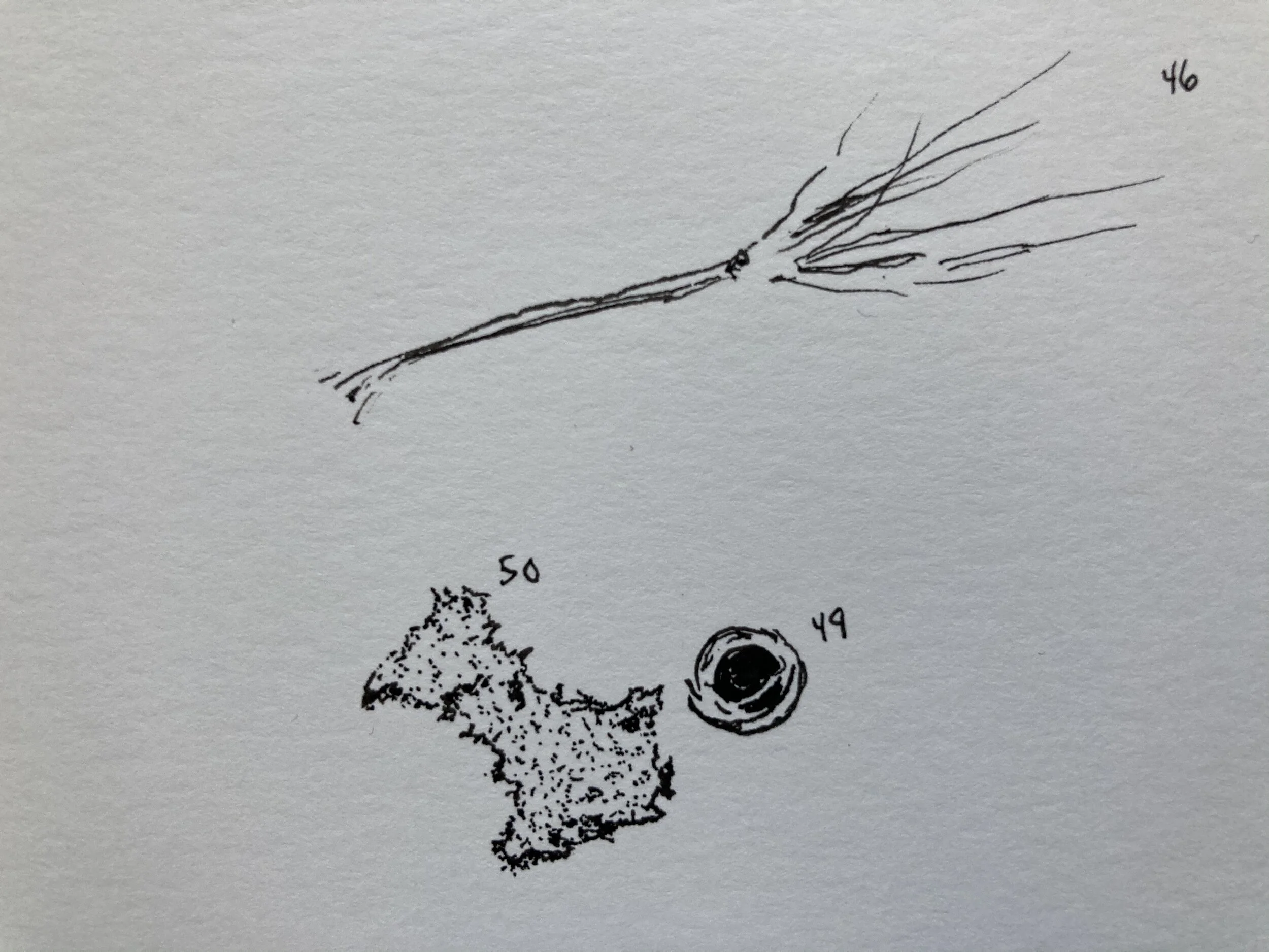 remnants — jennifer ramsey