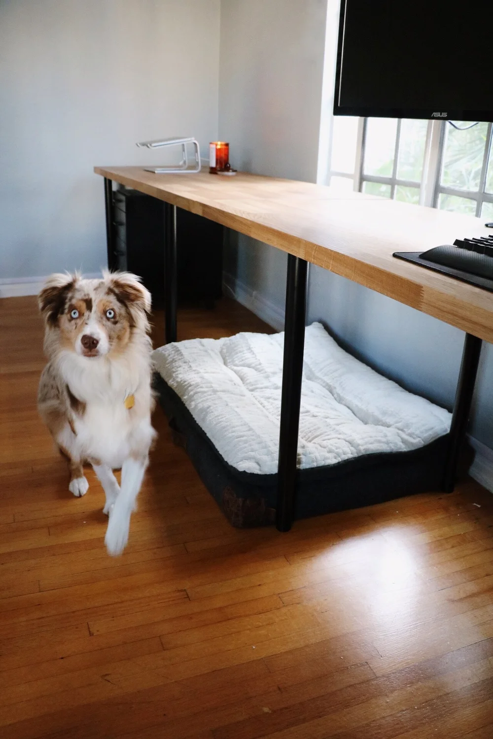 Creating a Home Office on a Budget — DIY DARLING