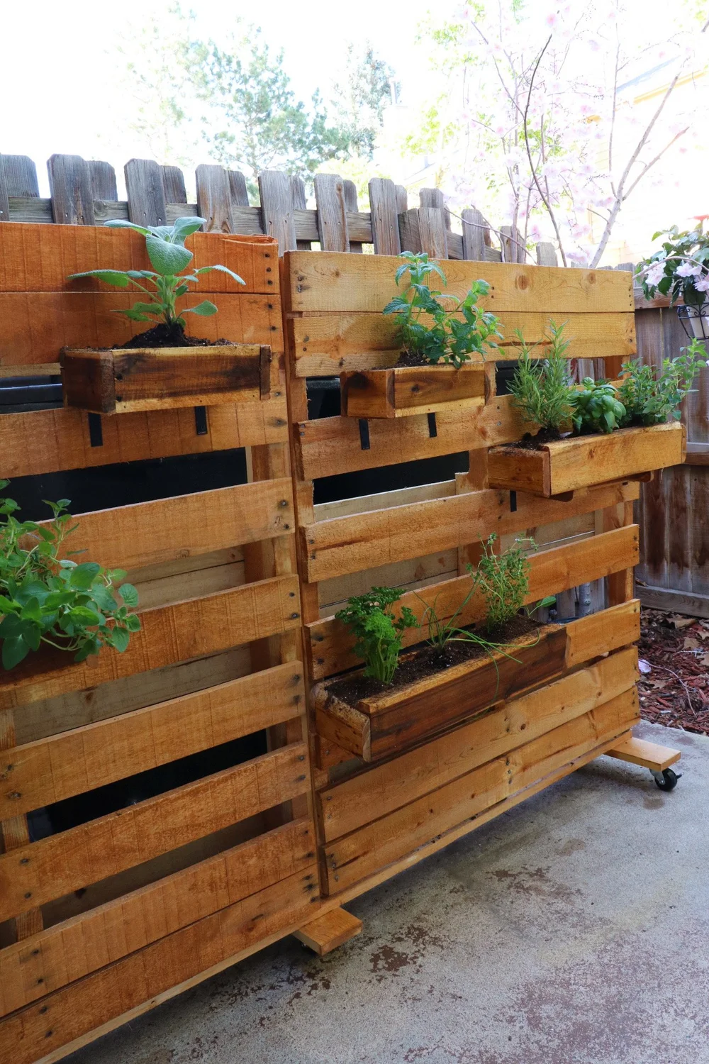 How To Build A Vertical Pallet Herb Garden | Fasci Garden