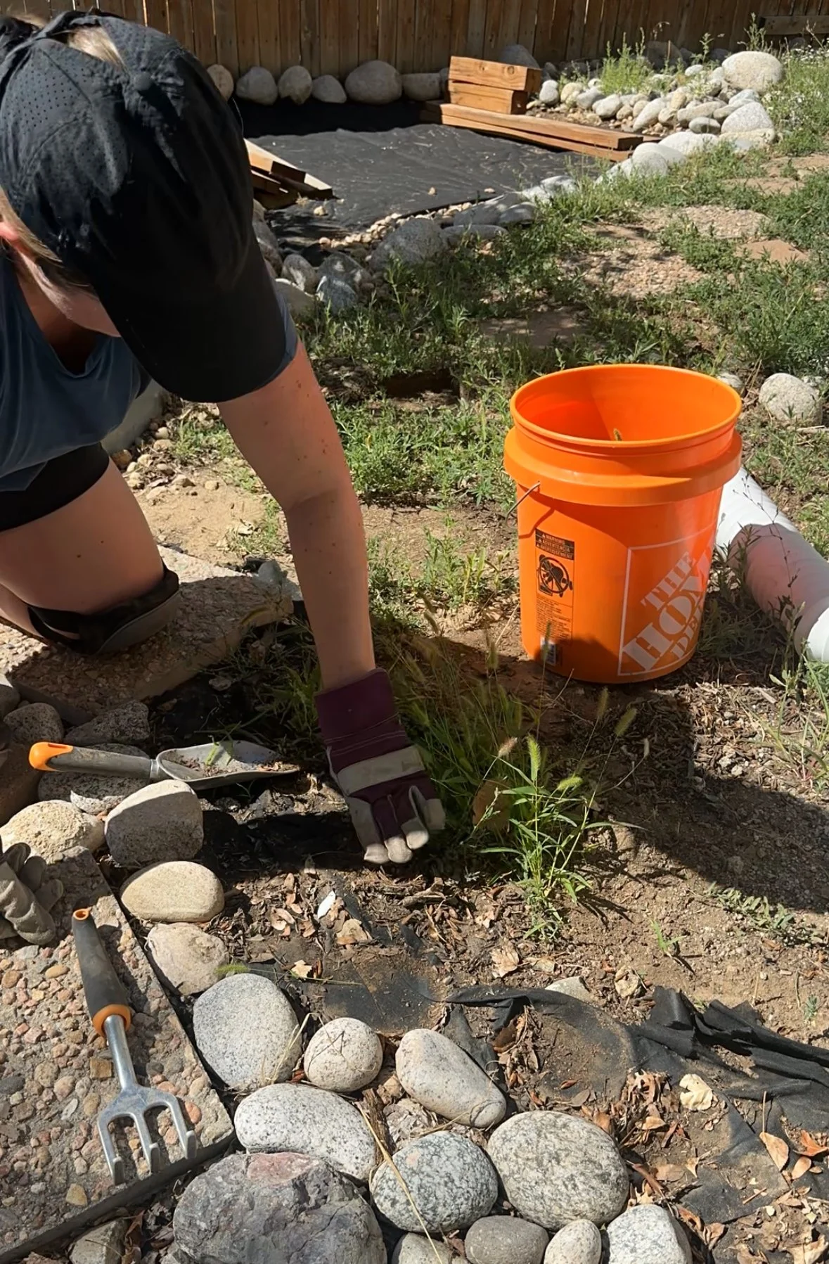 How to Install Drip Line Irrigation from a Hose Bib — DIY DARLING