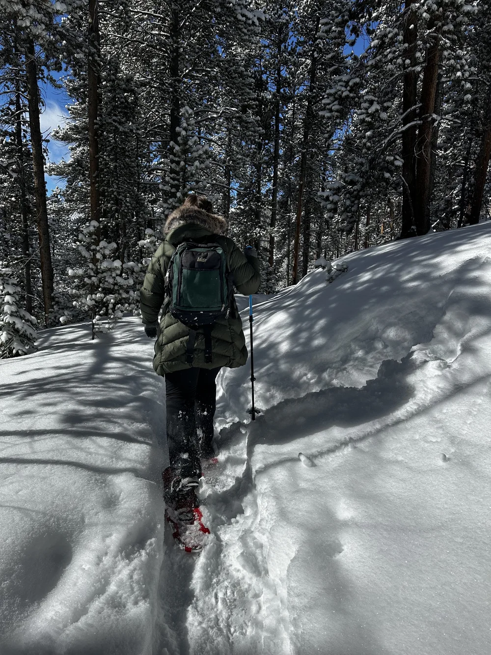 Best Things to Do in Colorado in February — DIY DARLING