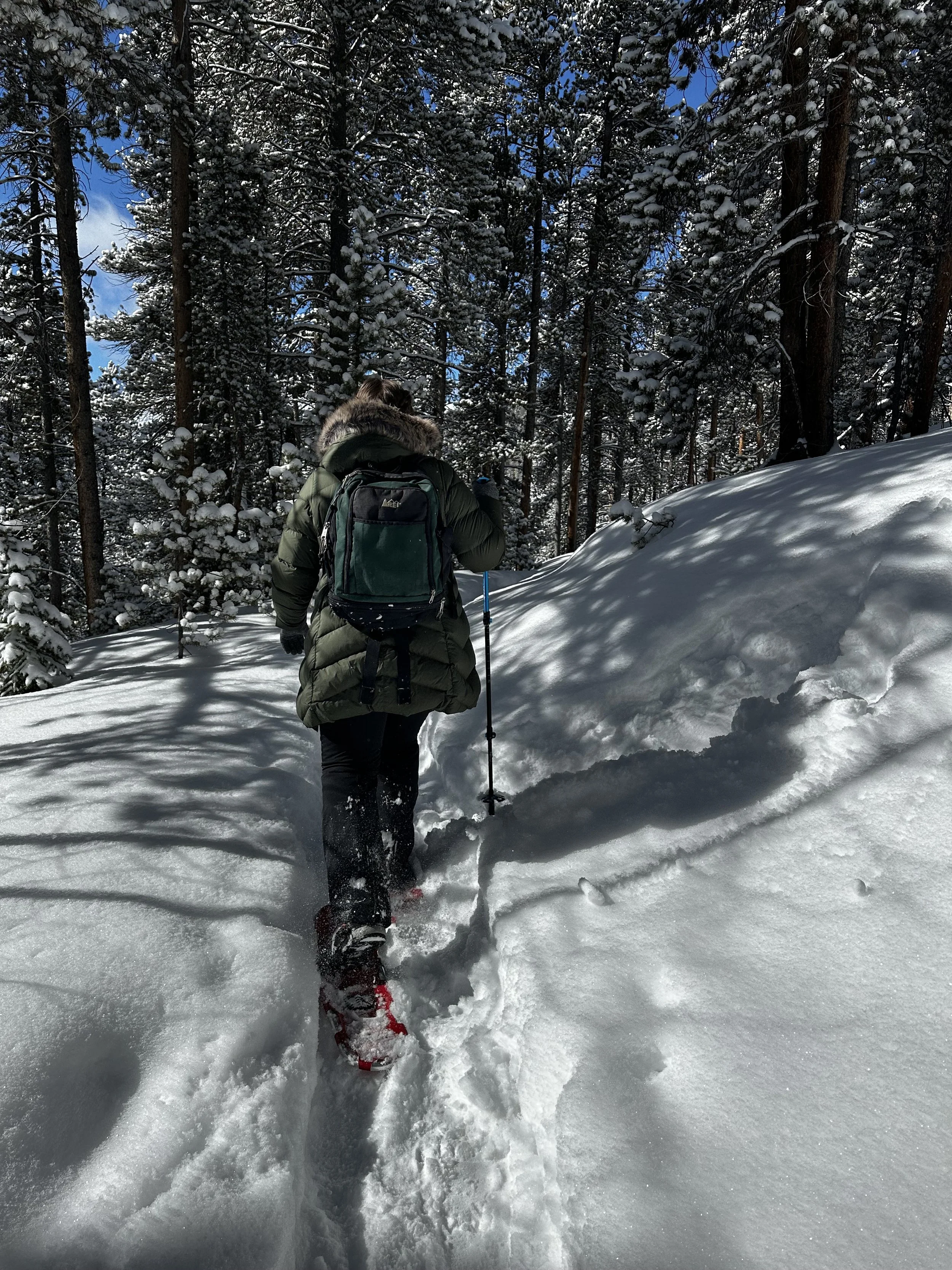 Best Things to Do in Colorado in February — DIY DARLING