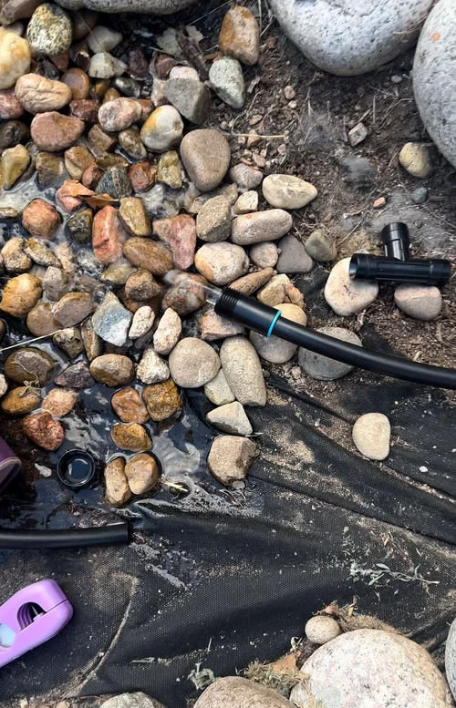 How to Install Drip Line Irrigation from a Hose Bib — DIY DARLING