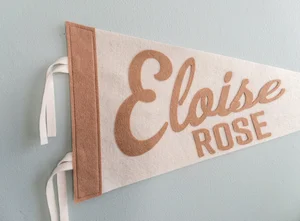 DIY Custom Pennant Flag — DIY DARLING