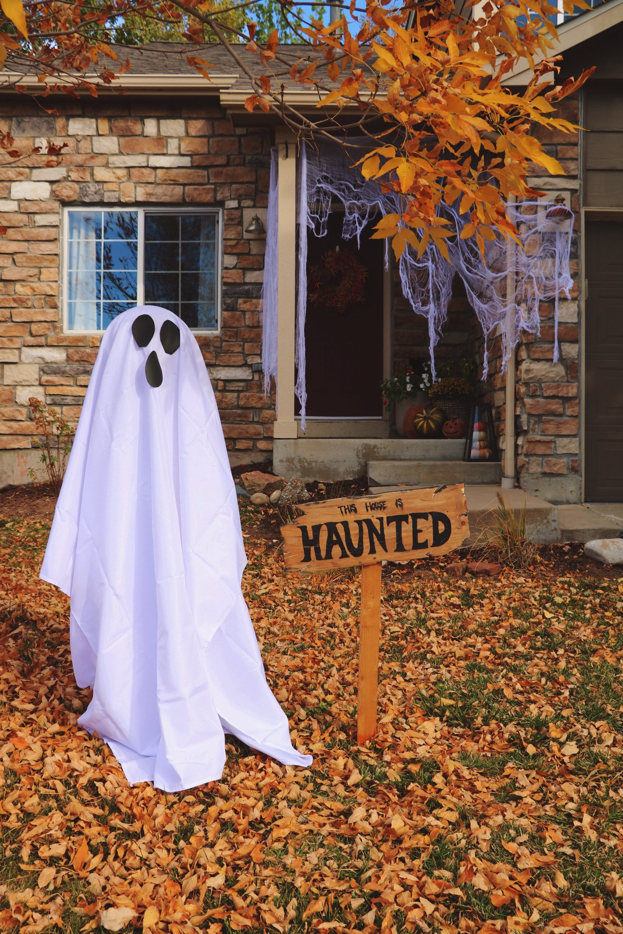 5 Halloween DIY Projects to Try — DIY DARLING