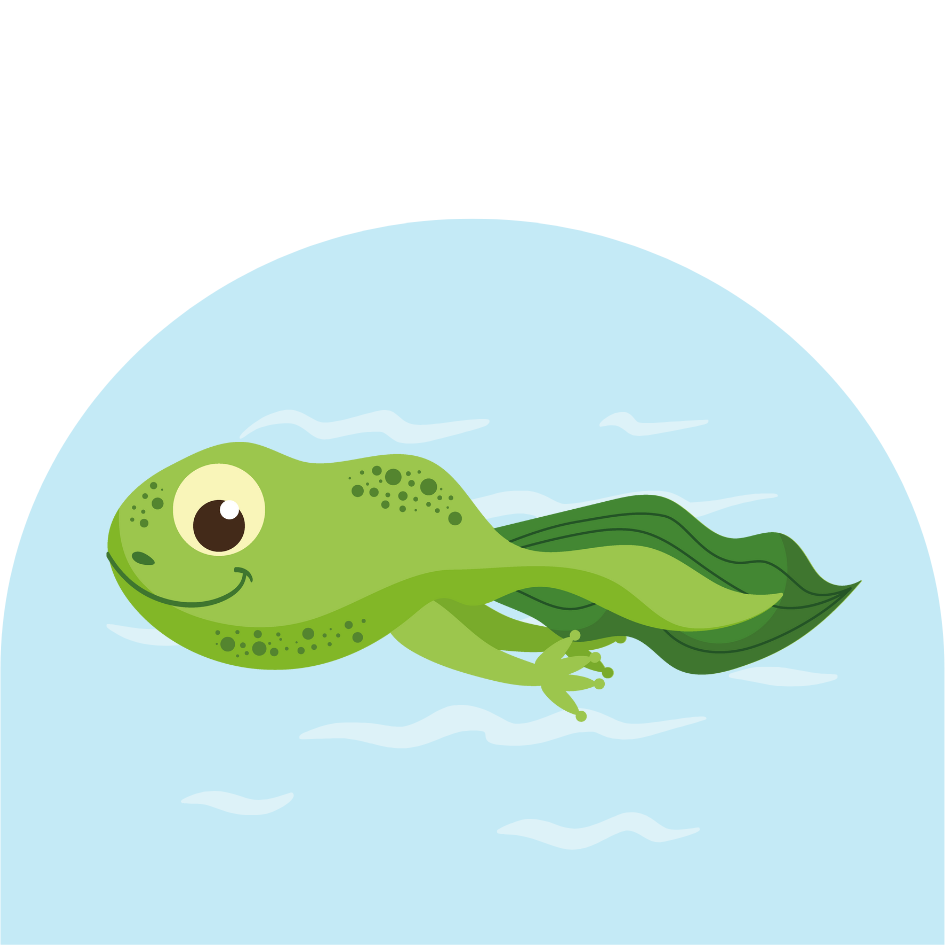 Healthtrax Swim Academy Warwick RI | Healthtrax