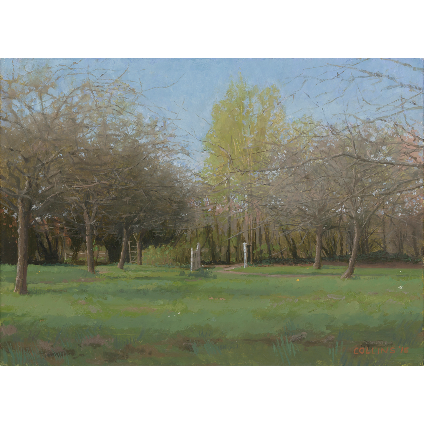 Jacob Collins — Adelson Galleries