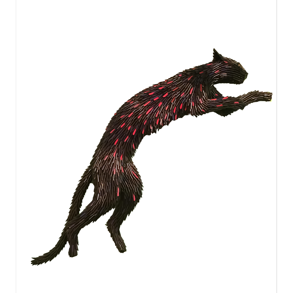 Jumping Cat Png