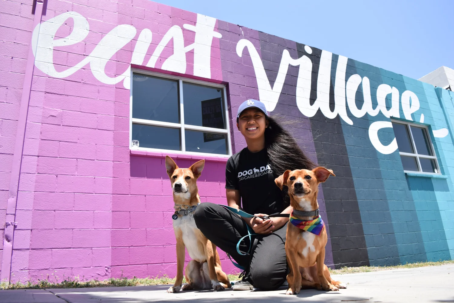 About us — Dog Days San Diego