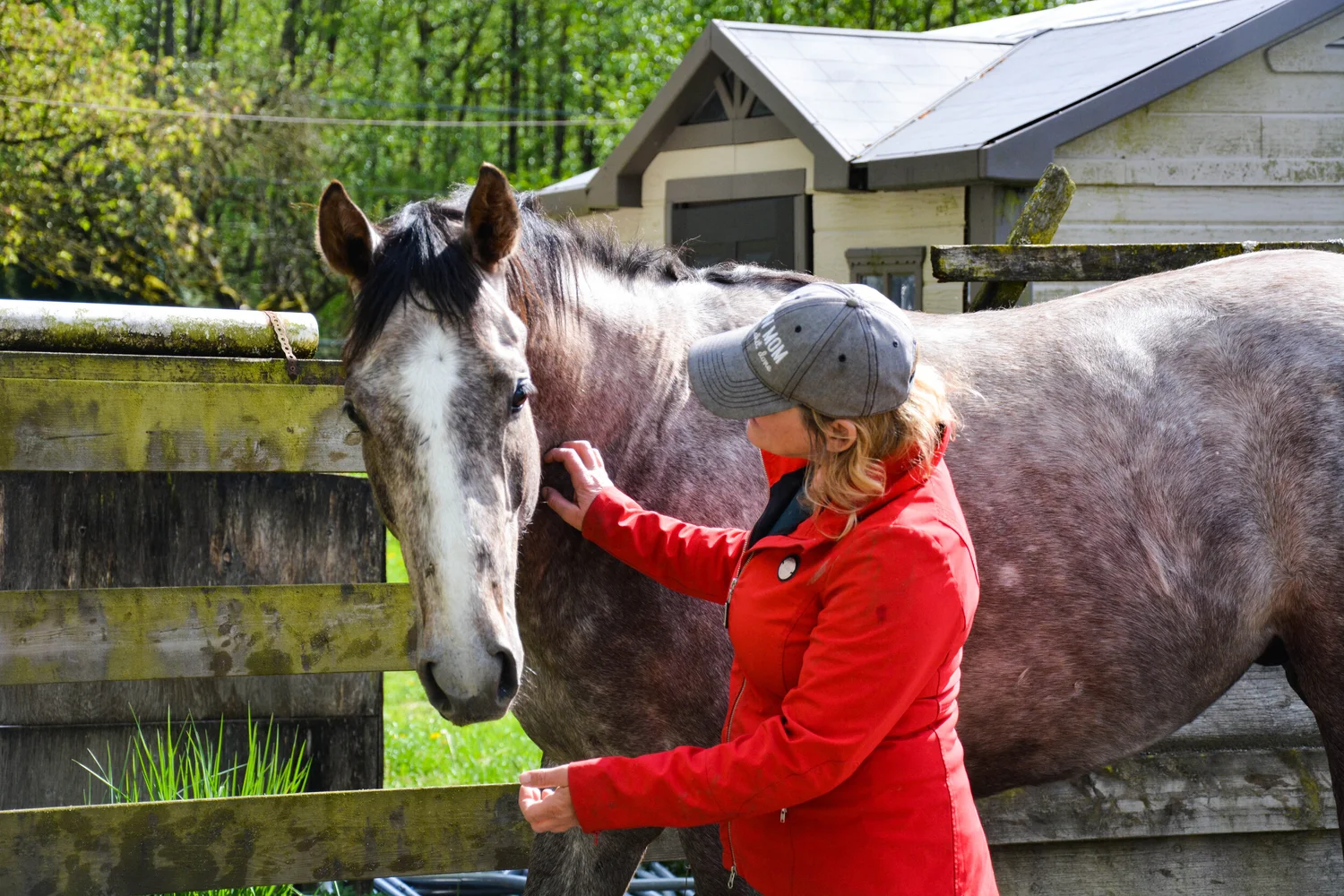 The Team | Discover Expert Horse Training Today — Milestone Equestrian