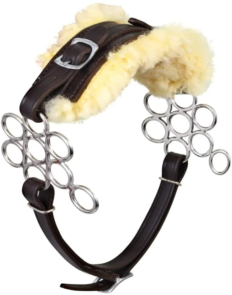 Training Equipment — Milestone Equestrian