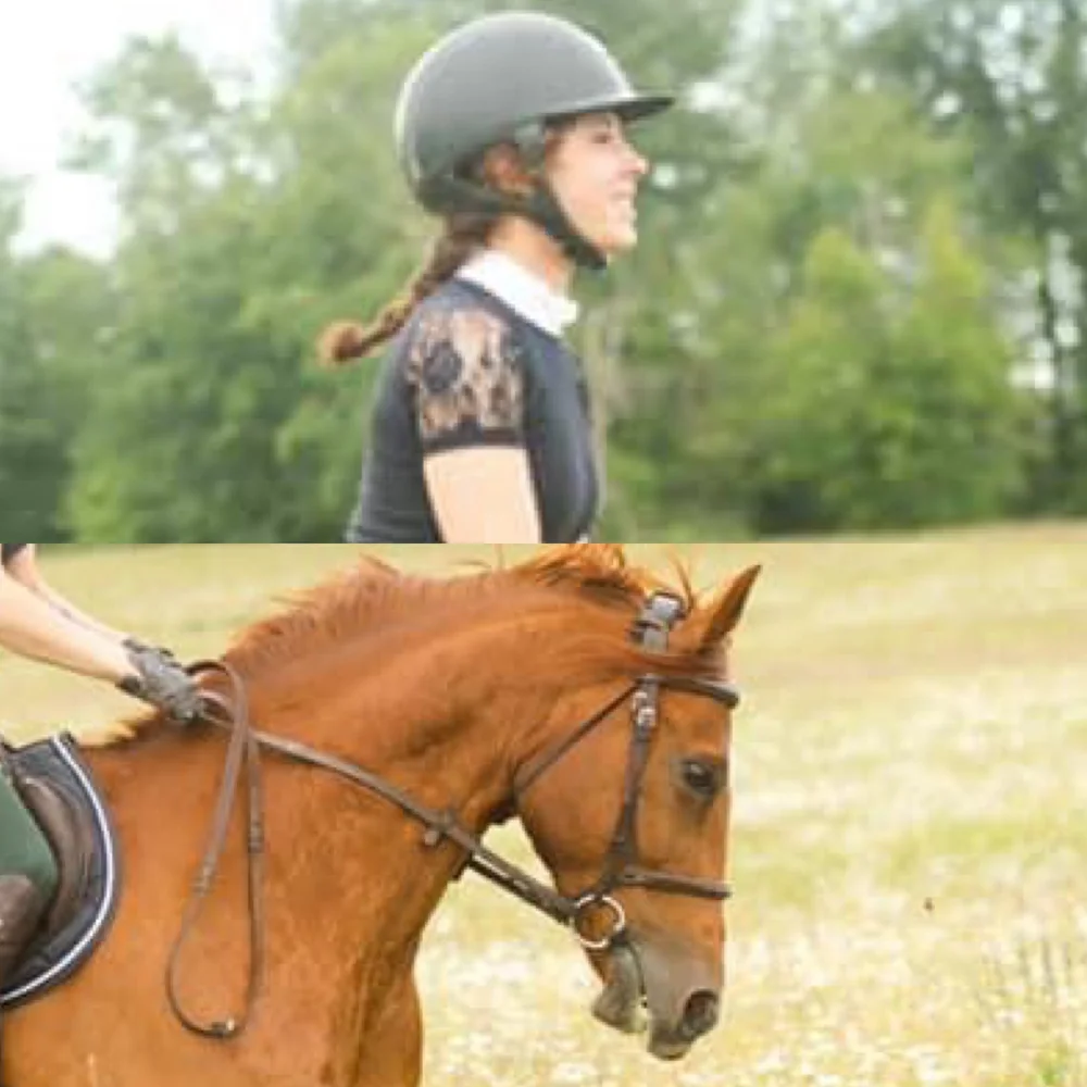 Blog — Milestone Equestrian