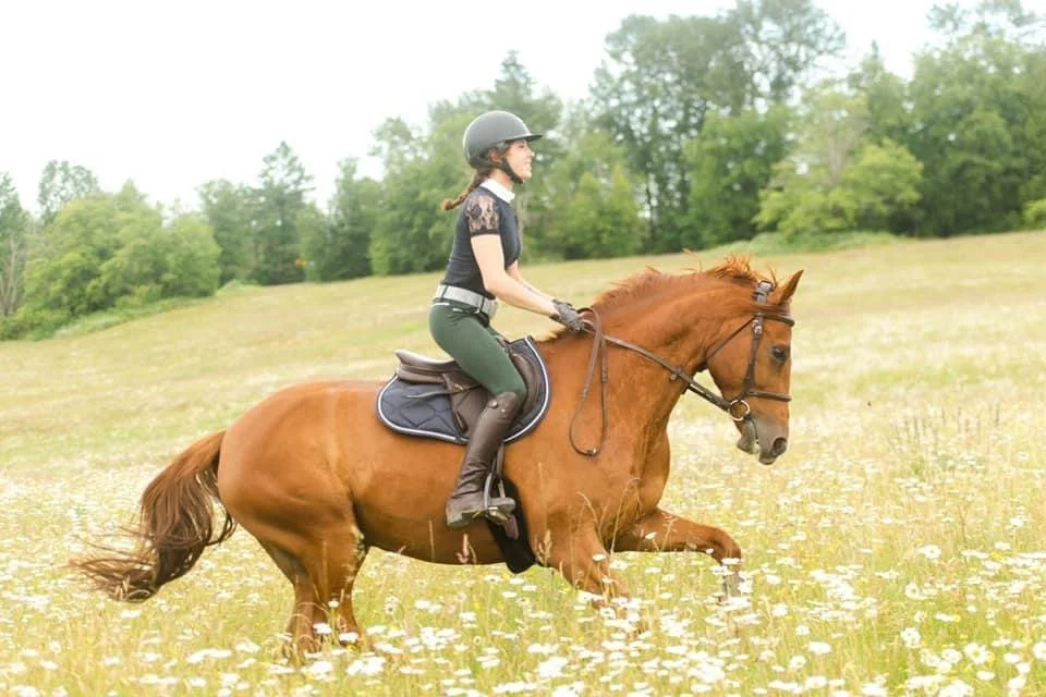 Blog — Milestone Equestrian