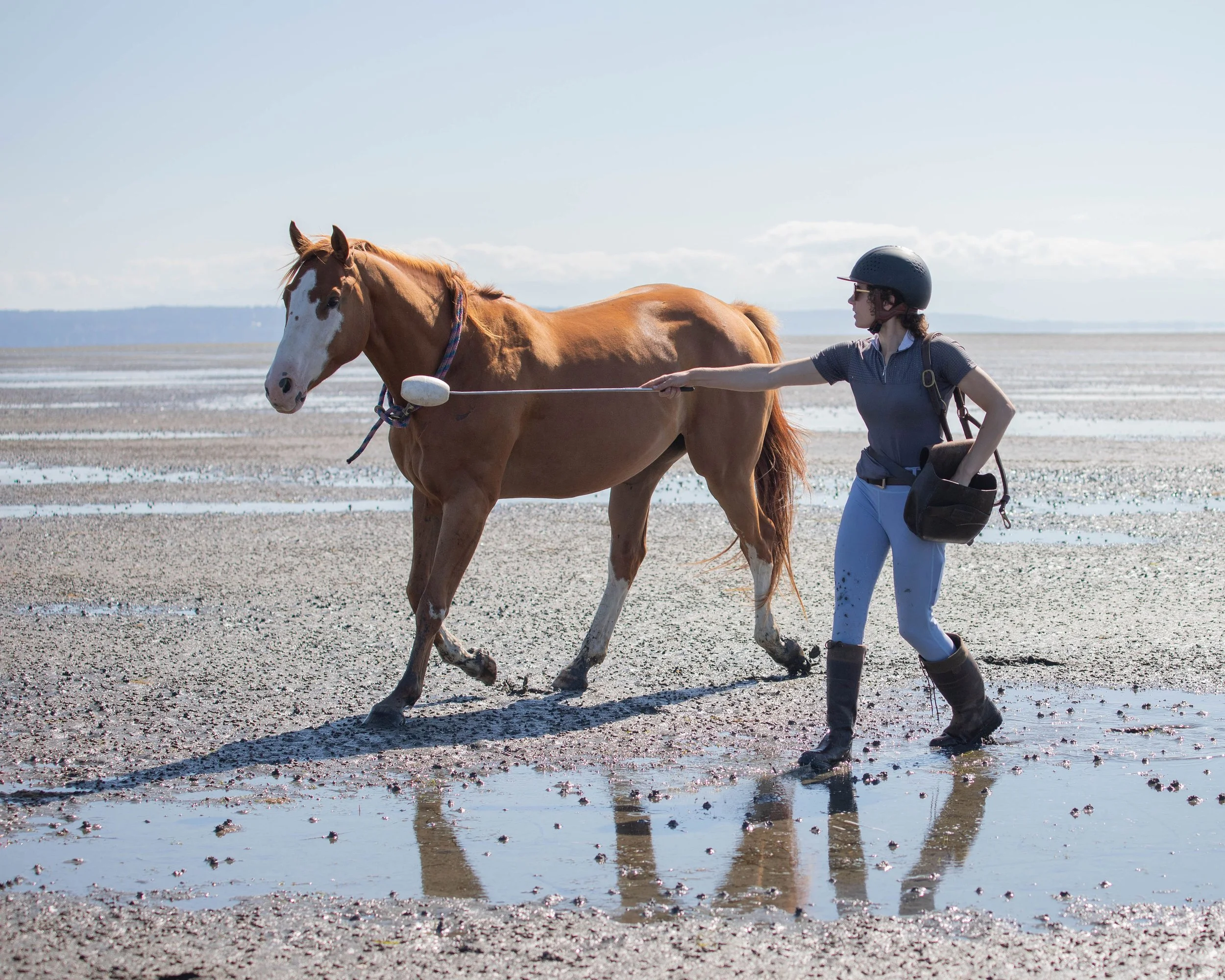 Milestone Equestrian