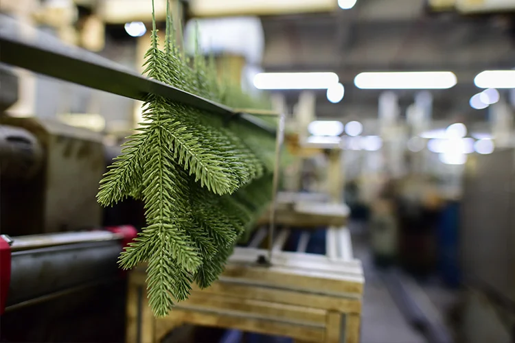 Our Story — Polygroup