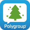 Holiday Lights — Polygroup