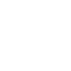 Holiday Symphony — Polygroup