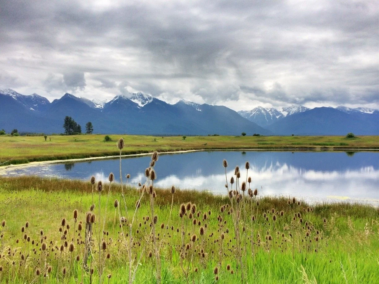 Ronan Library District