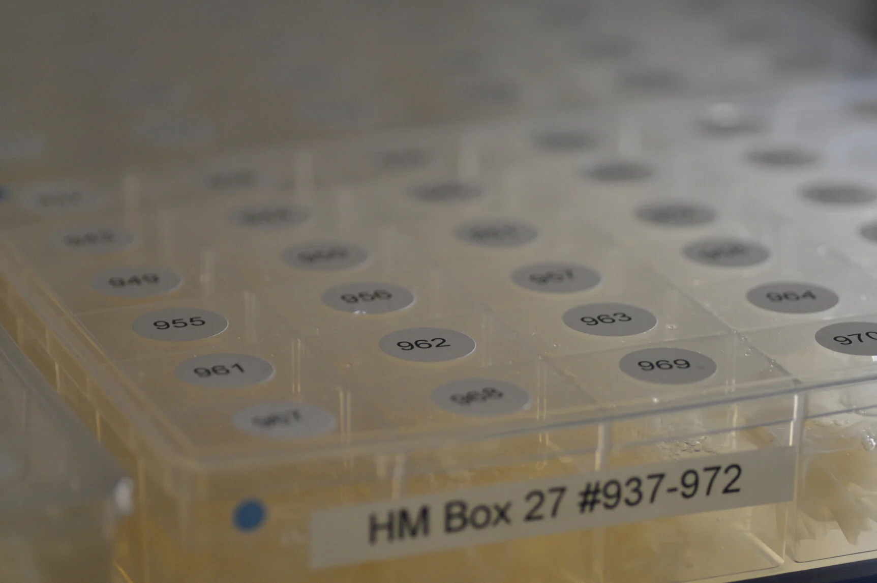 Project H.M. — THE BRAIN OBSERVATORY®